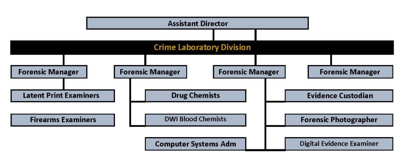 Crime Laboratory Ochart | Wake County Government